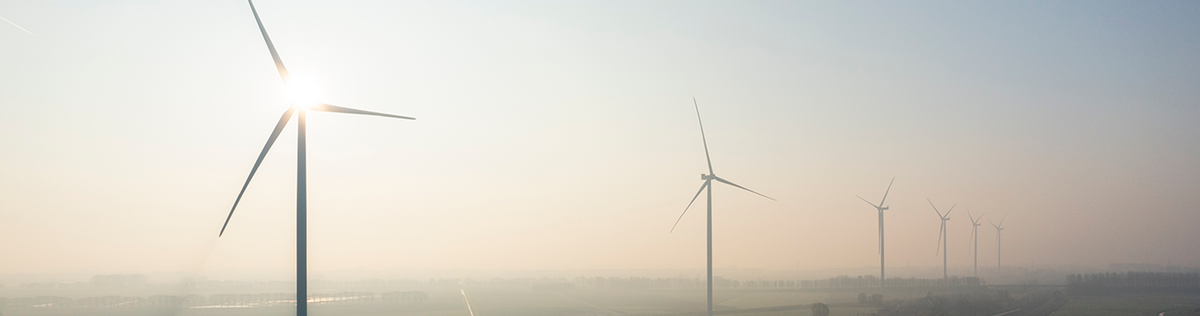 Renewable Energy Certificate Program